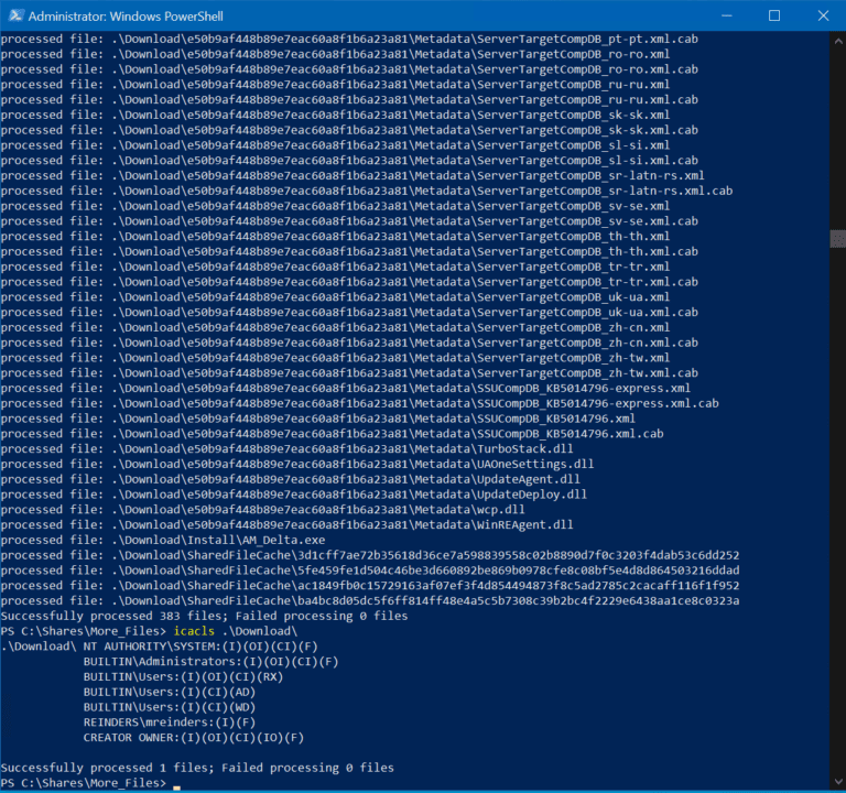 Using Icacls to Manage File Permissions - The Definitive Guide