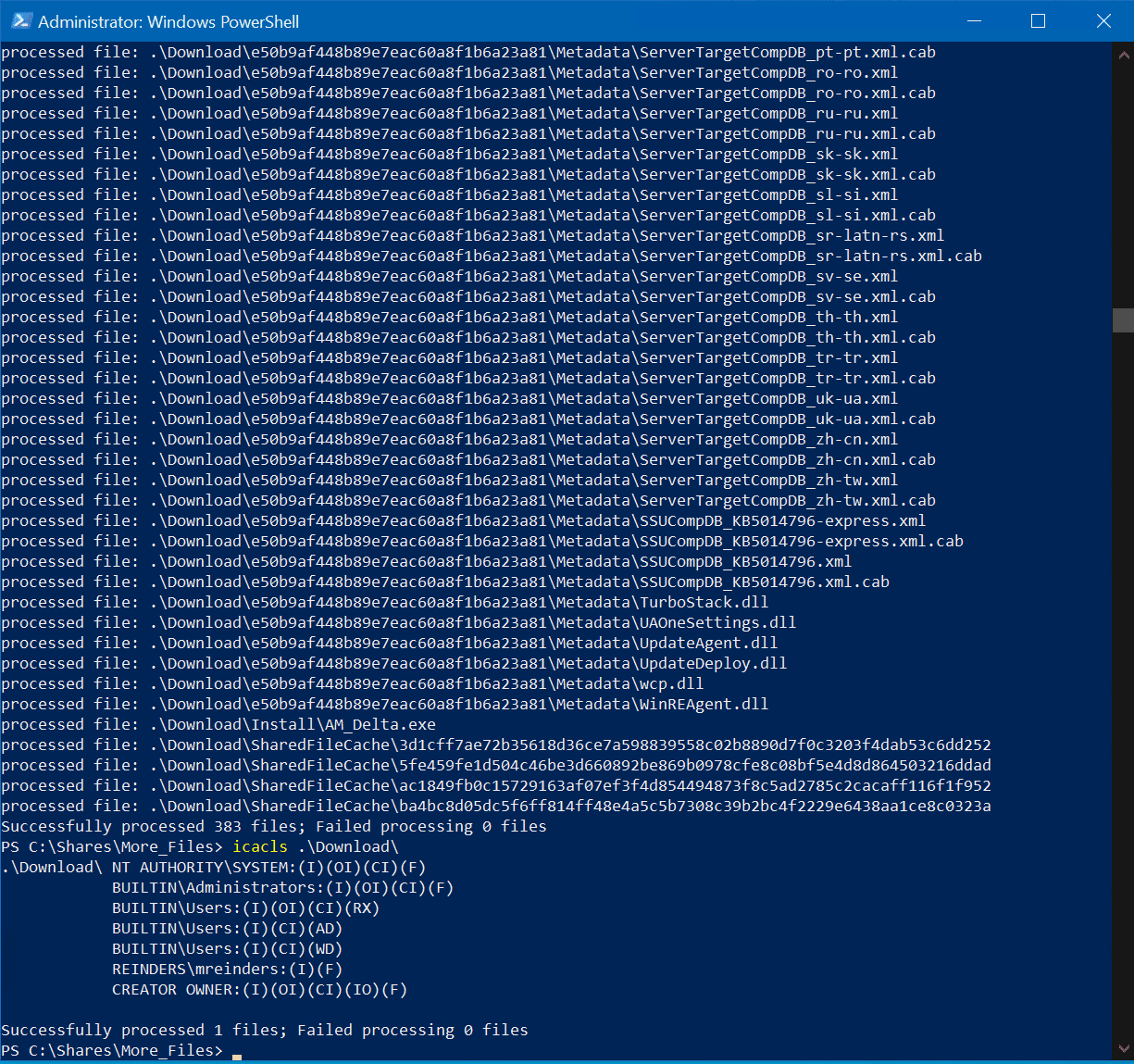 Using Icacls to Manage File Permissions - The Definitive Guide