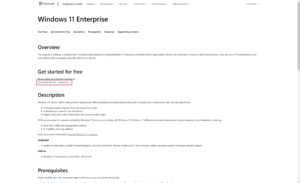 Instalar Windows 11/Server 2022 en VMware Workstation 17 Pro